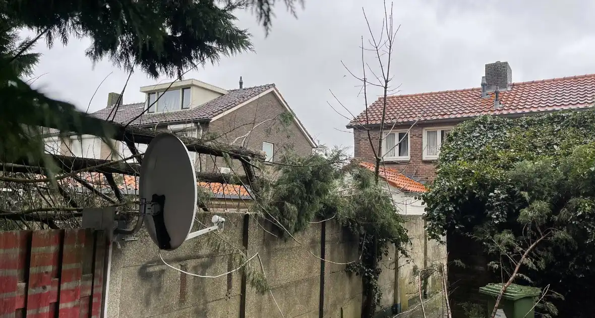 Conifeer boom belandt op schuur van buren | 112-nu.nl